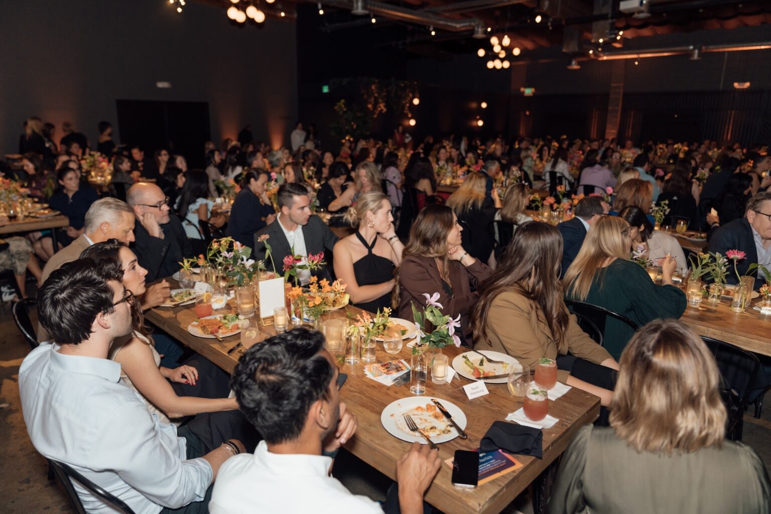 Gala - 2024 - The Pad Project